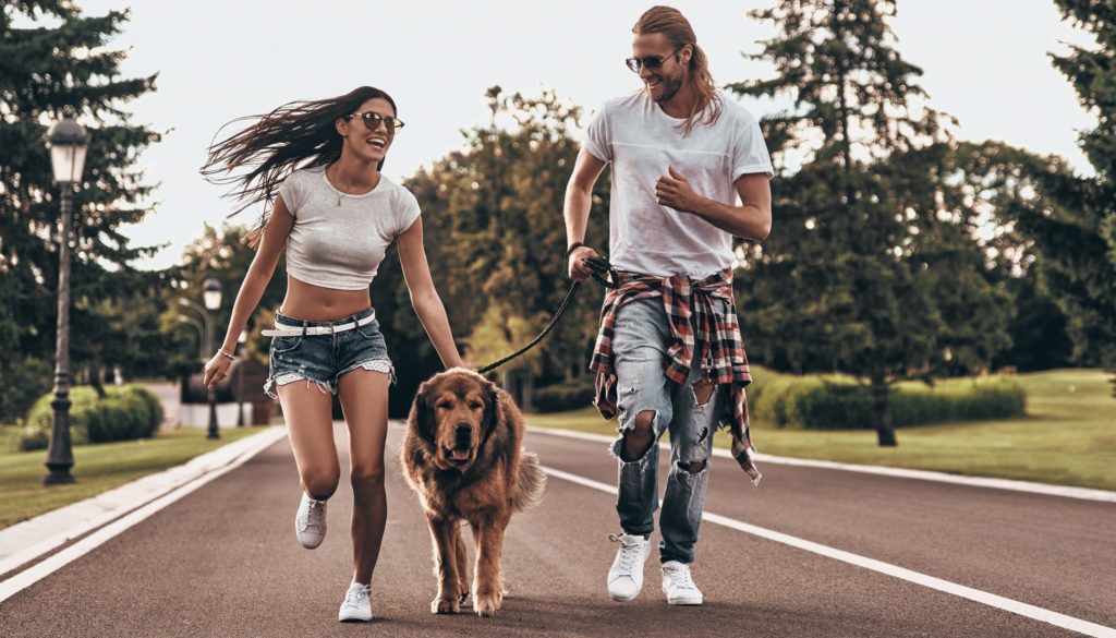 How do I talk about pets? Learn the most essential English phrases ...